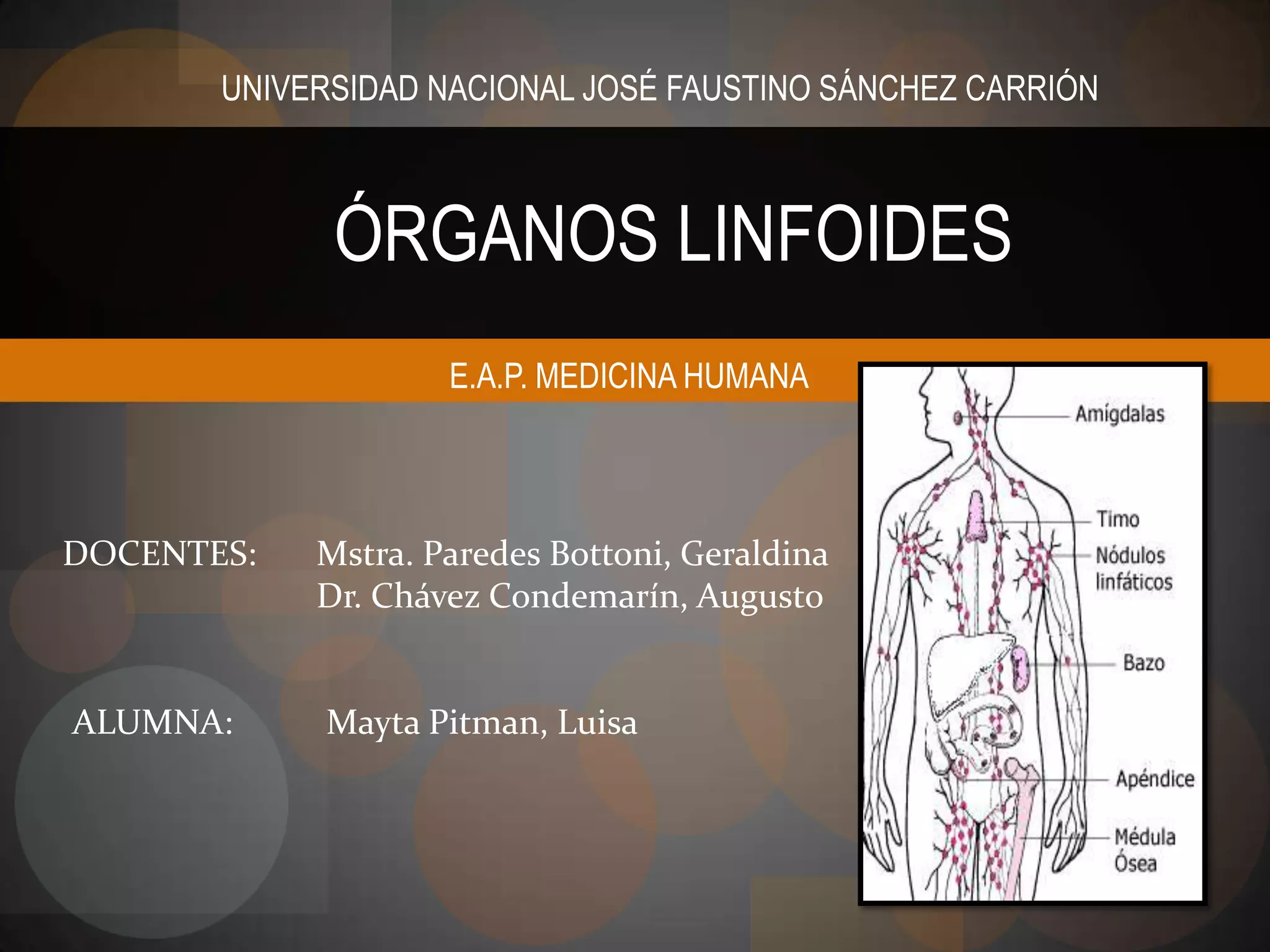 Organos linfoides | PPTX