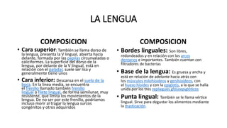 Organos sensoriales lengua | PPTX