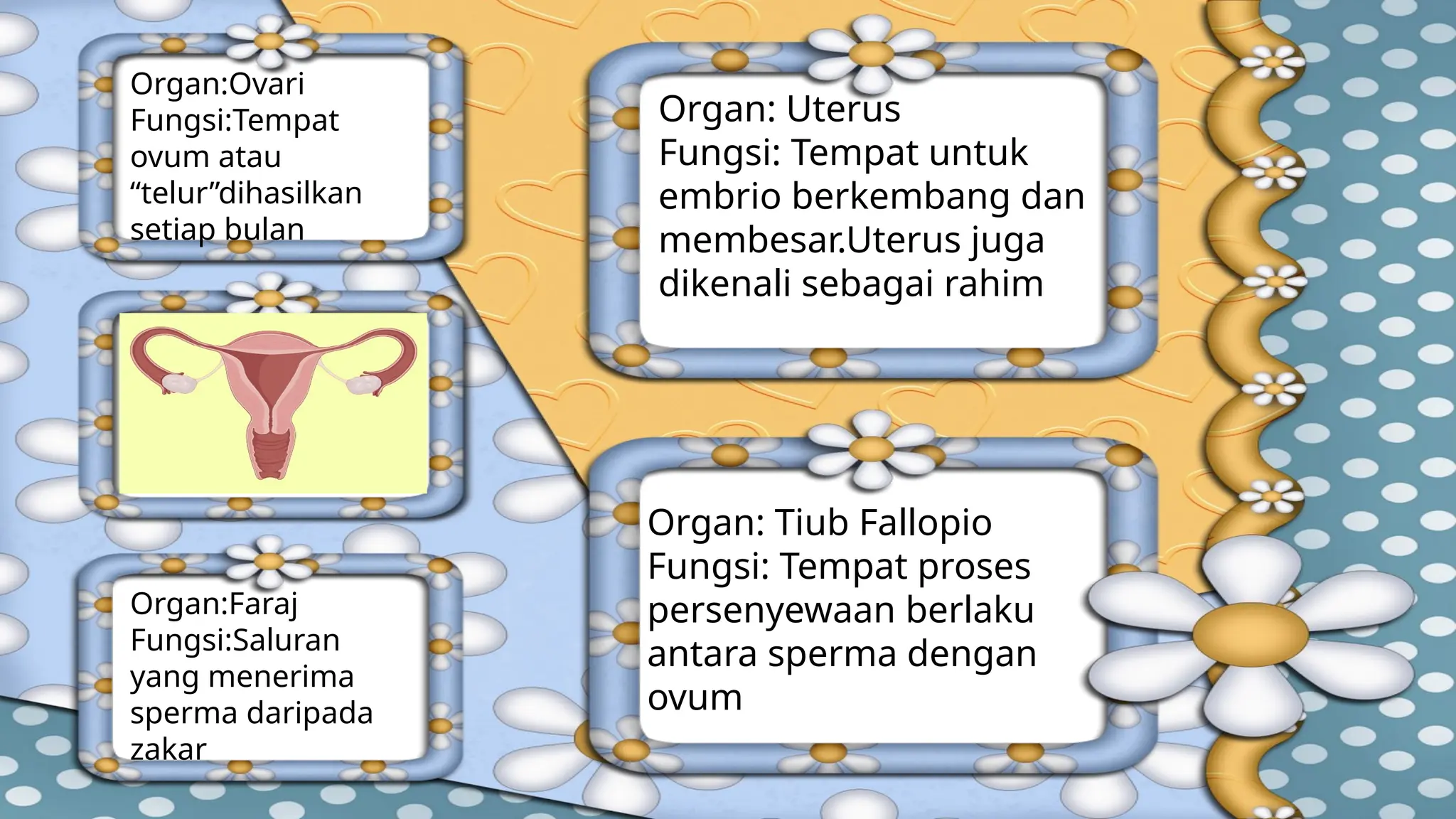 Organ Pembiakan Lelaki subjek sains tahun 6.pptx