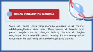 Organ Penglihatan Manusia - presentasi pelajaran biologi | PPTX