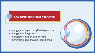 Organ Penglihatan Manusia - presentasi pelajaran biologi | PDF