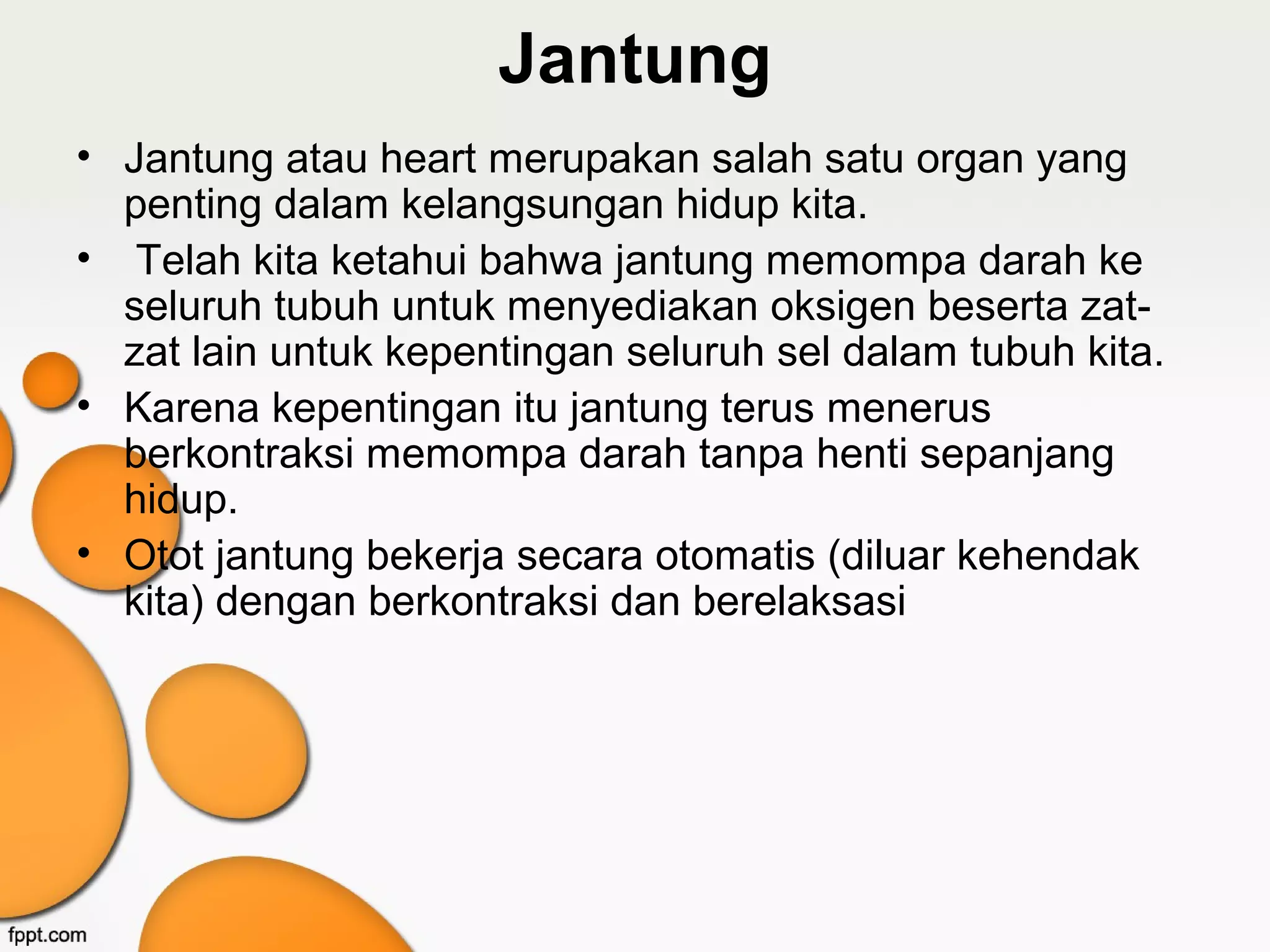 Organ peredaran darah manusia | PPT