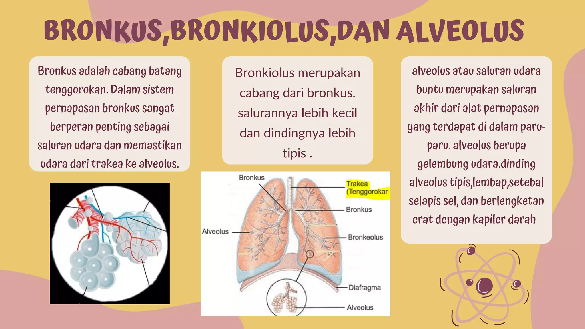 ORGAN PERNAFASAN.pdf