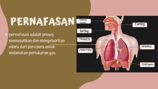 ORGAN PERNAFASAN.pdf