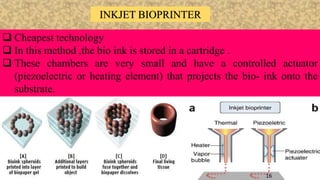 Organ printing (or) Bio Printing | PPTX