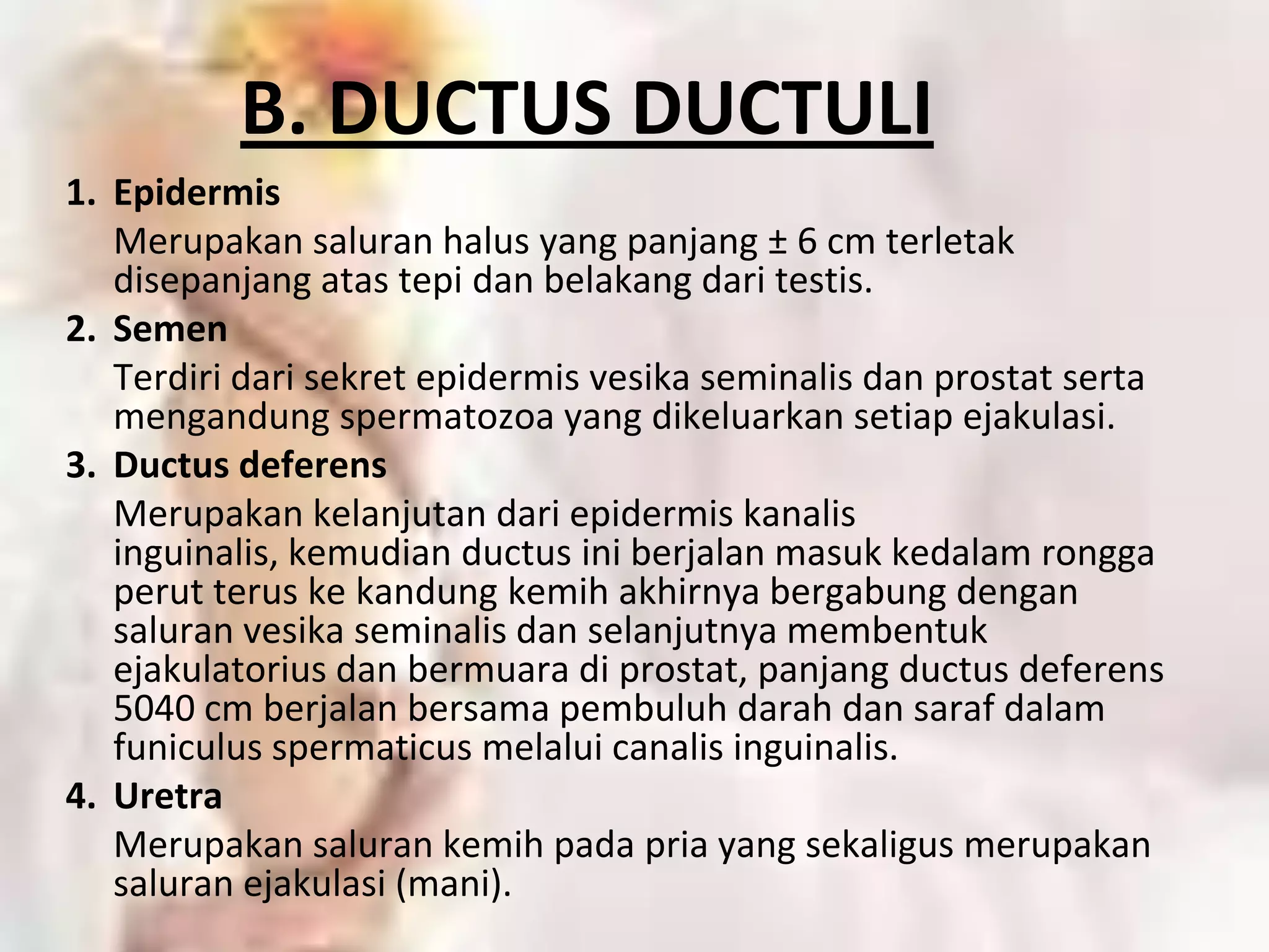 Organ reproduksi wanita | PPTX