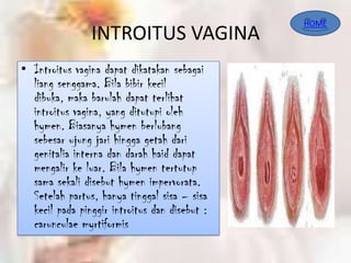 Organ reproduksi wanita | PPTX