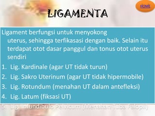 Organ reproduksi wanita | PPTX