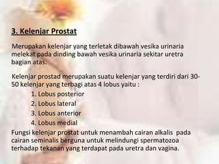 Organ reproduksi wanita | PPTX