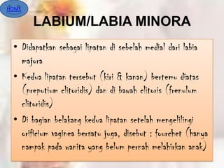 Organ reproduksi wanita | PPTX