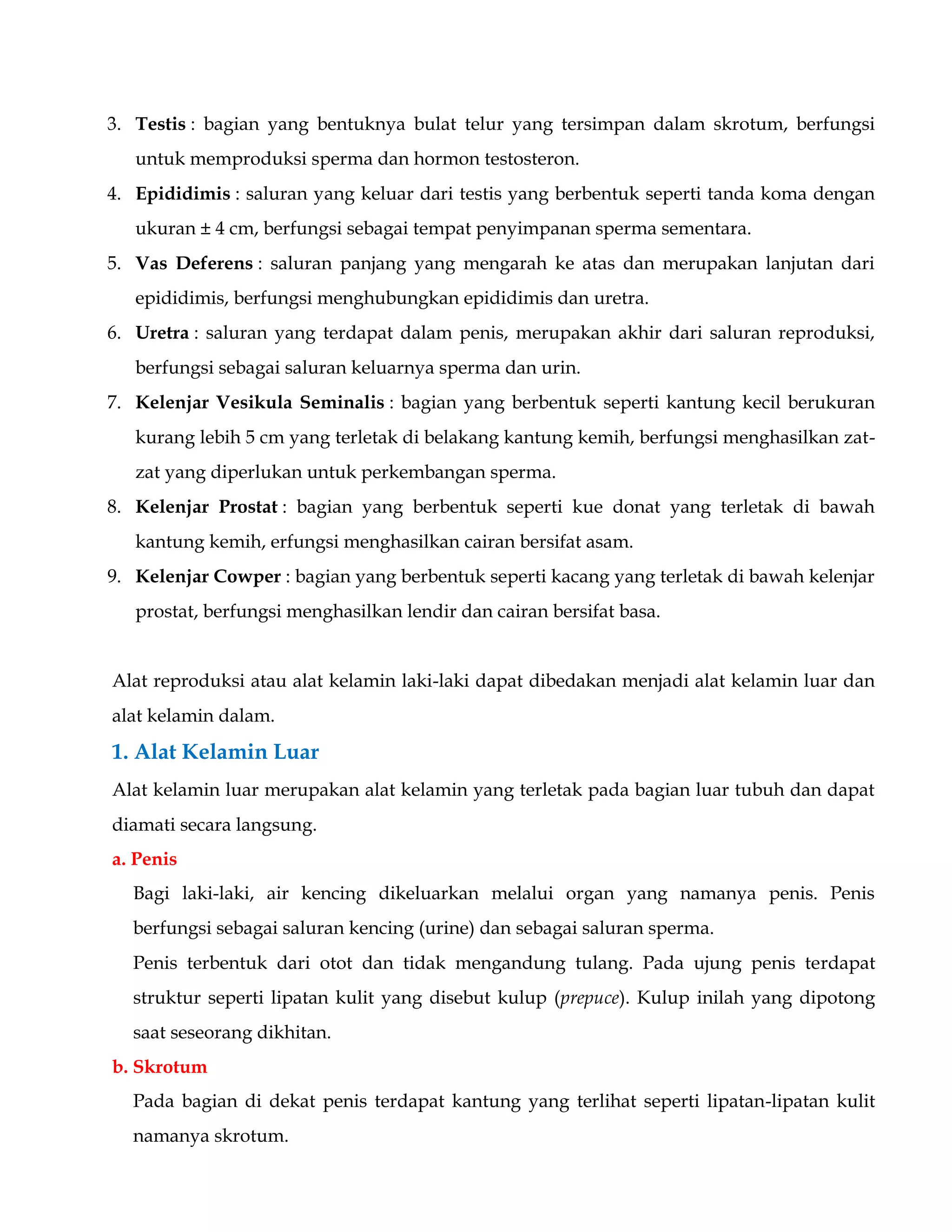 Organ reproduksi laki laki dan spermatogenesis | PDF