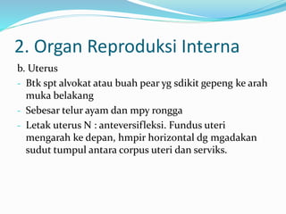 Organ reproduksi pada laki –laki dan perempuan | PPTX
