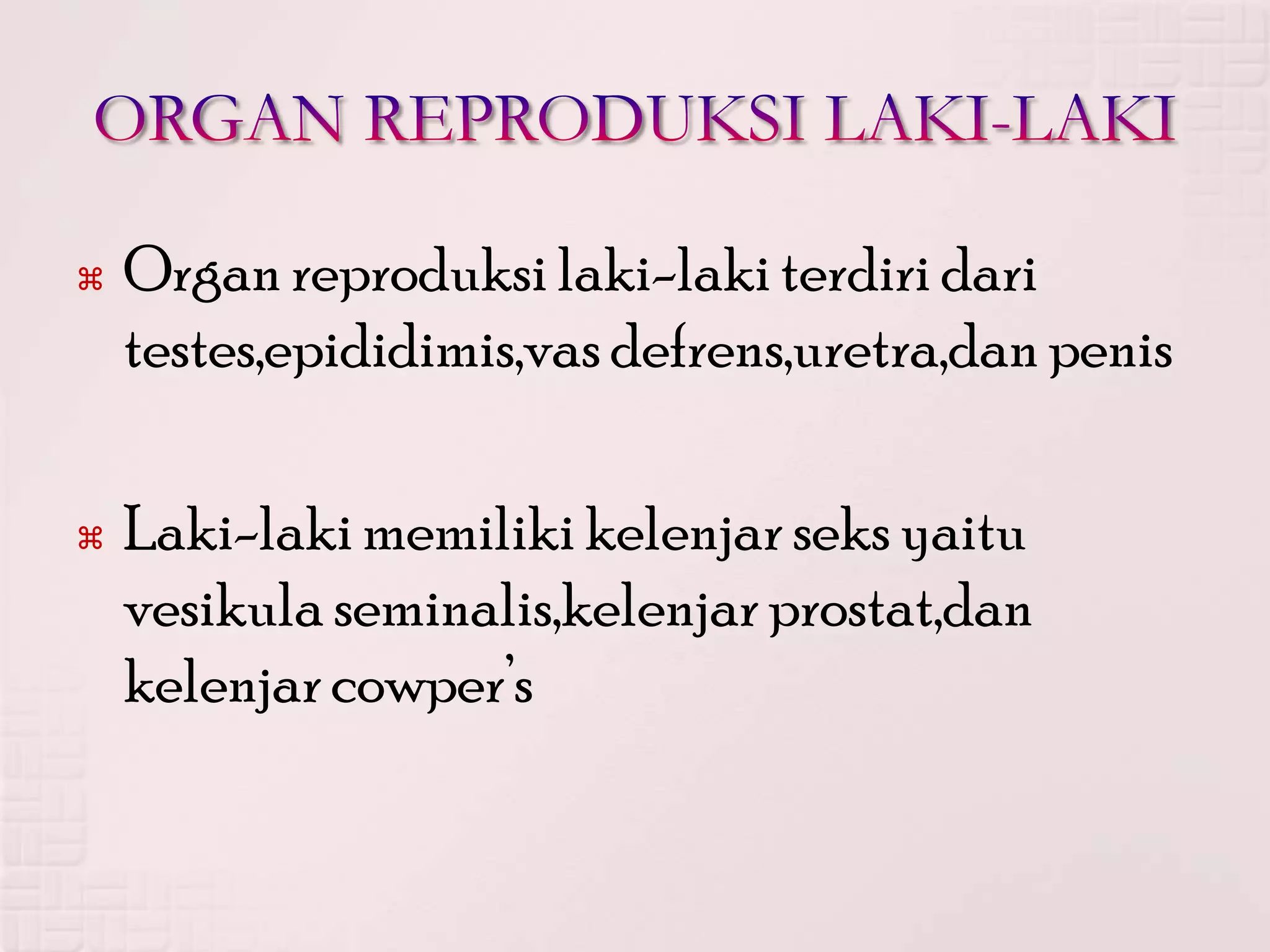 Organ reproduksi perempuan dan laki laki | PPTX
