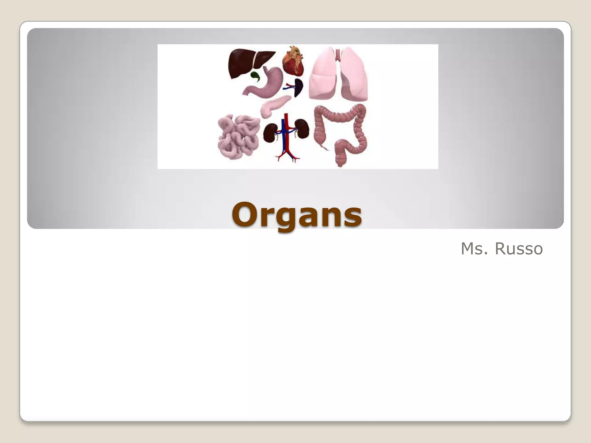 Organs | PPTX | Biological Sciences | Science