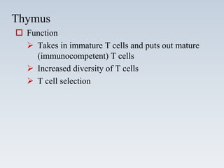 Organs of the Immune System | PPT