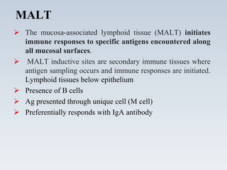 Organs of the Immune System | PPT