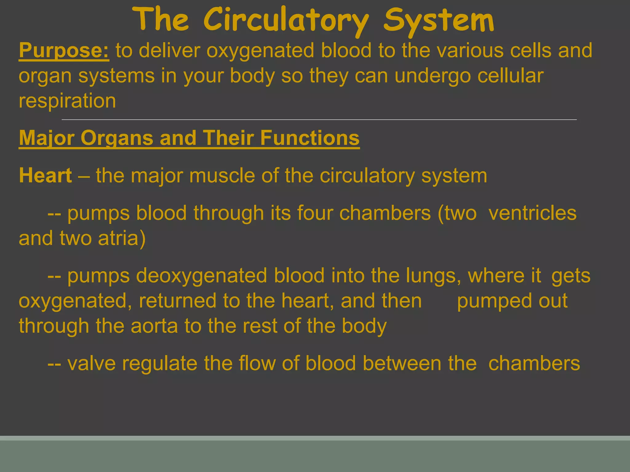 Organs and Systems | PPT