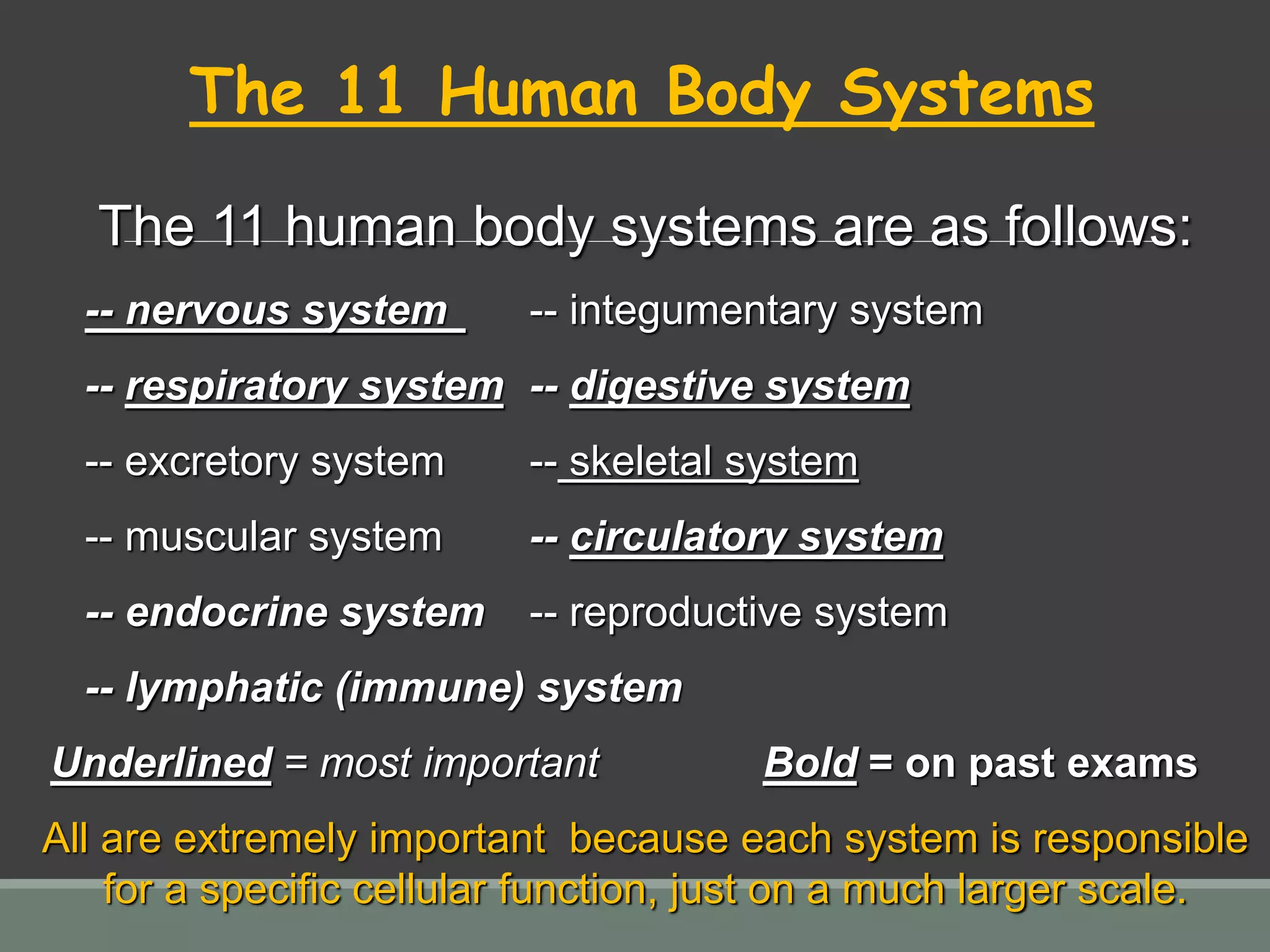 Organs and Systems | PPT