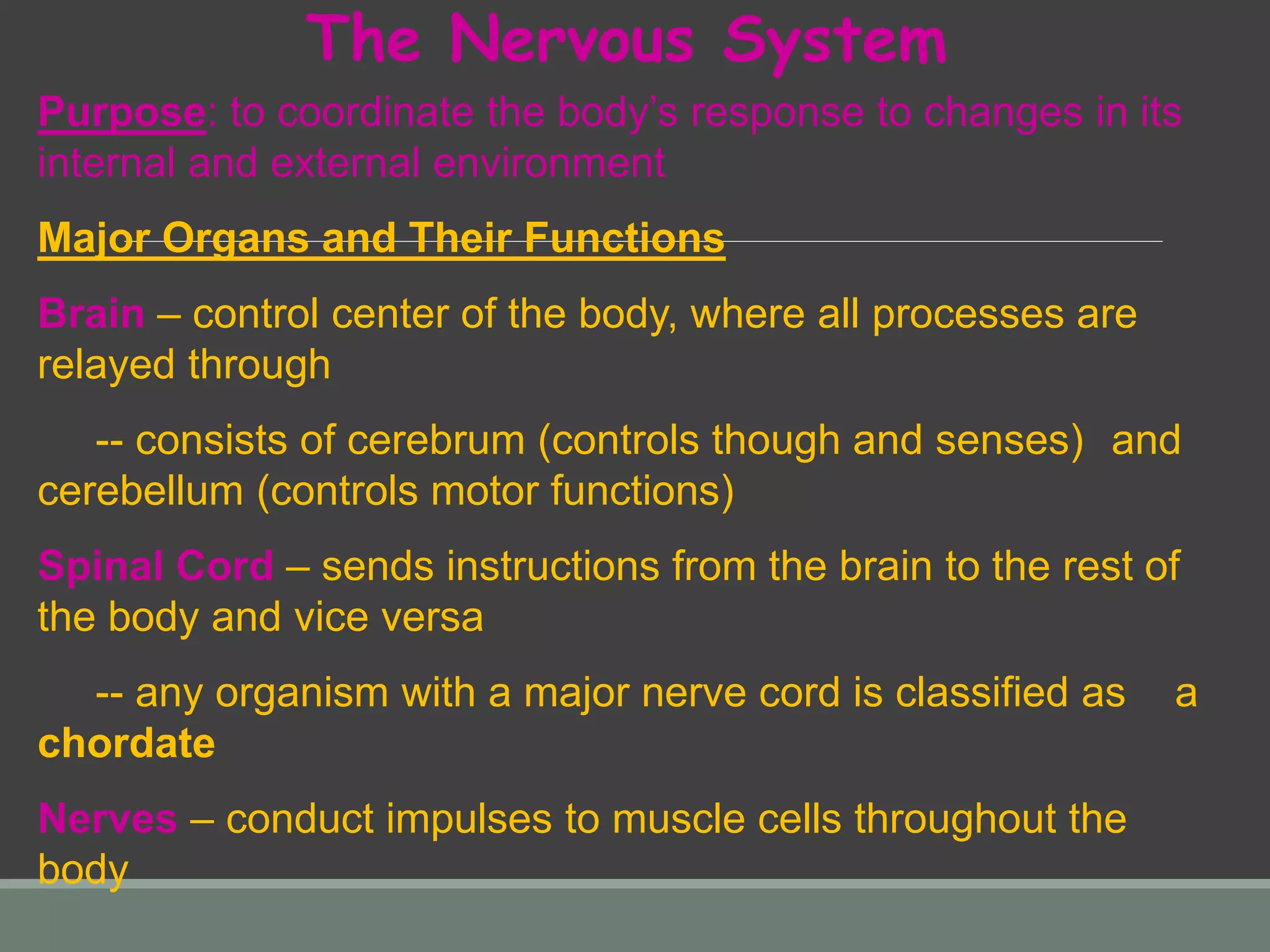 Organs and Systems | PPT