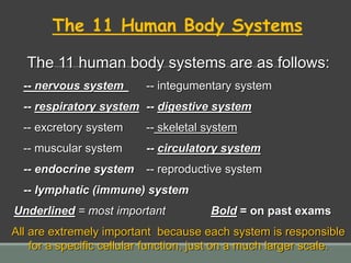 Organs and Systems | PPT