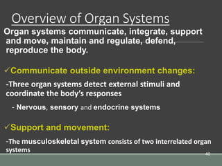 Organs and Systems | PPT