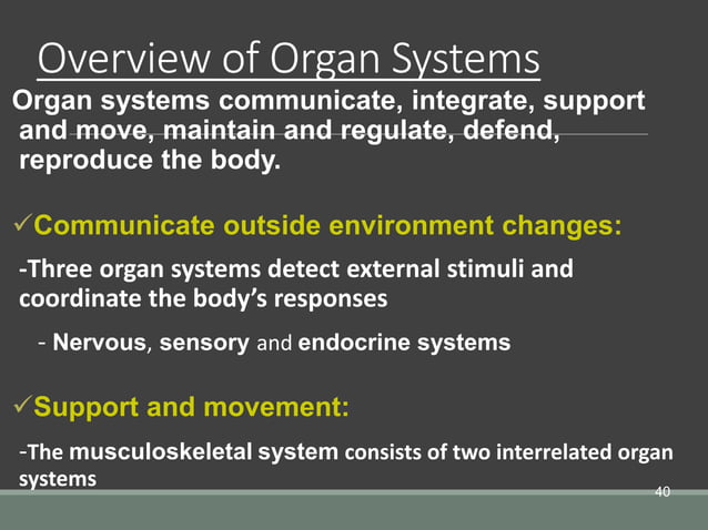 Organs and Systems | PPT