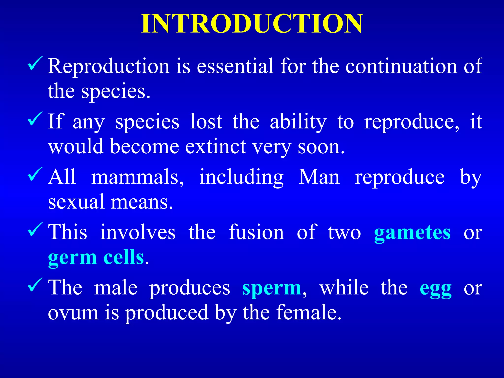 organs-of-the-reproductive-systemeditedppt4000.pdf