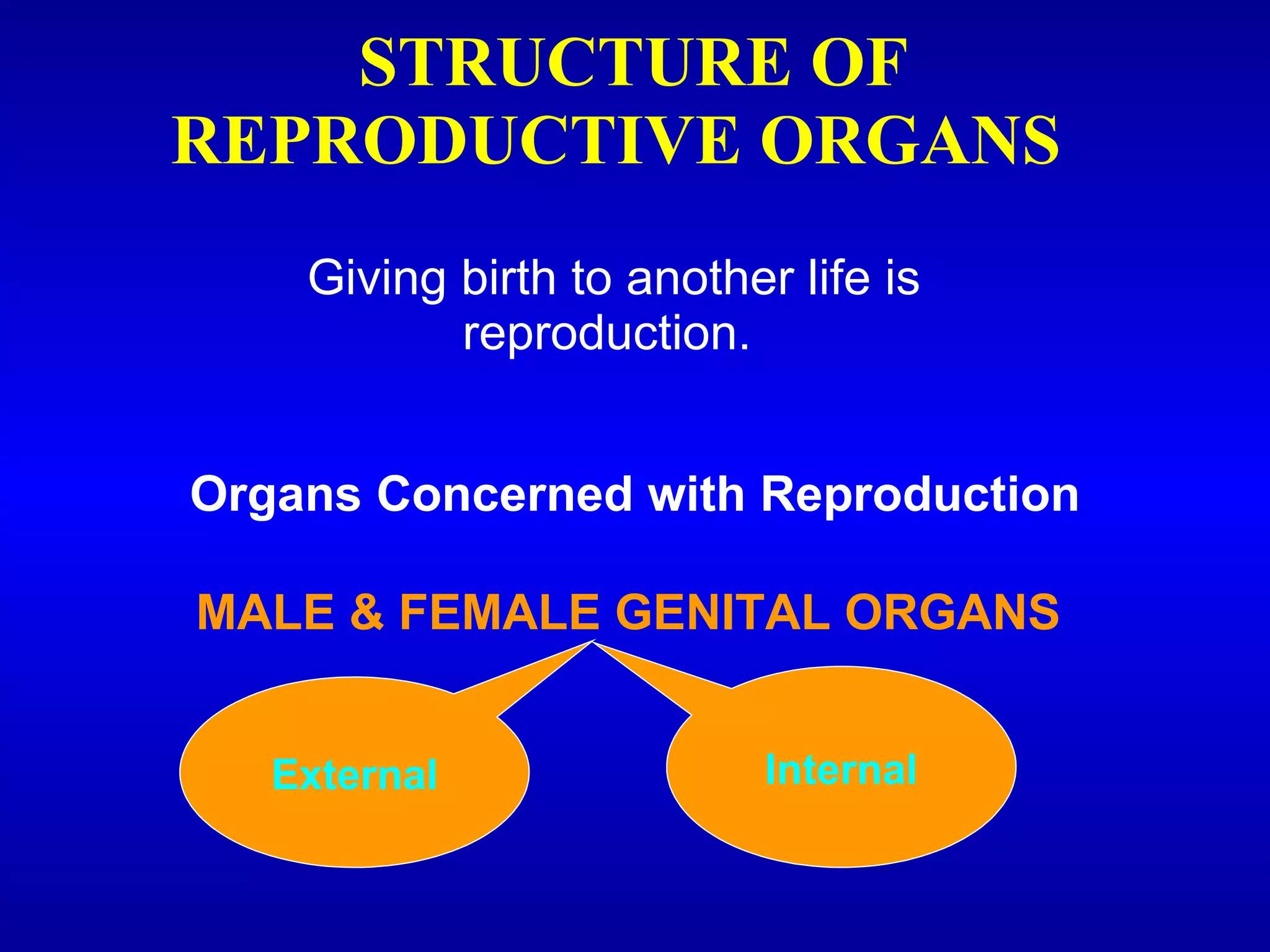 organs-of-the-reproductive-systemeditedppt4000.pdf