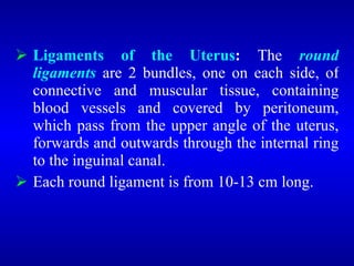 organs-of-the-reproductive-systemeditedppt4000.pdf | Pregnancy ...