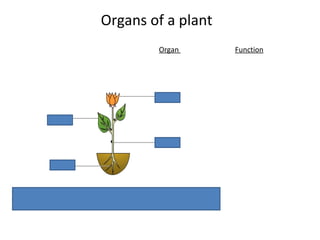 Organs, Tissue and Cells.pot