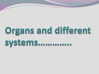 Organs and different systems | PPT