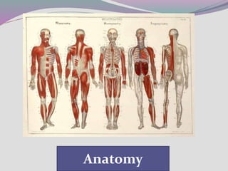 Organs and different systems | PPT