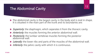 ORGANS AND SYSTEMS- ANATOMY AND PHYSIOLOGY.pptx
