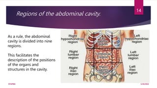 ORGANS AND SYSTEMS- ANATOMY AND PHYSIOLOGY.pptx