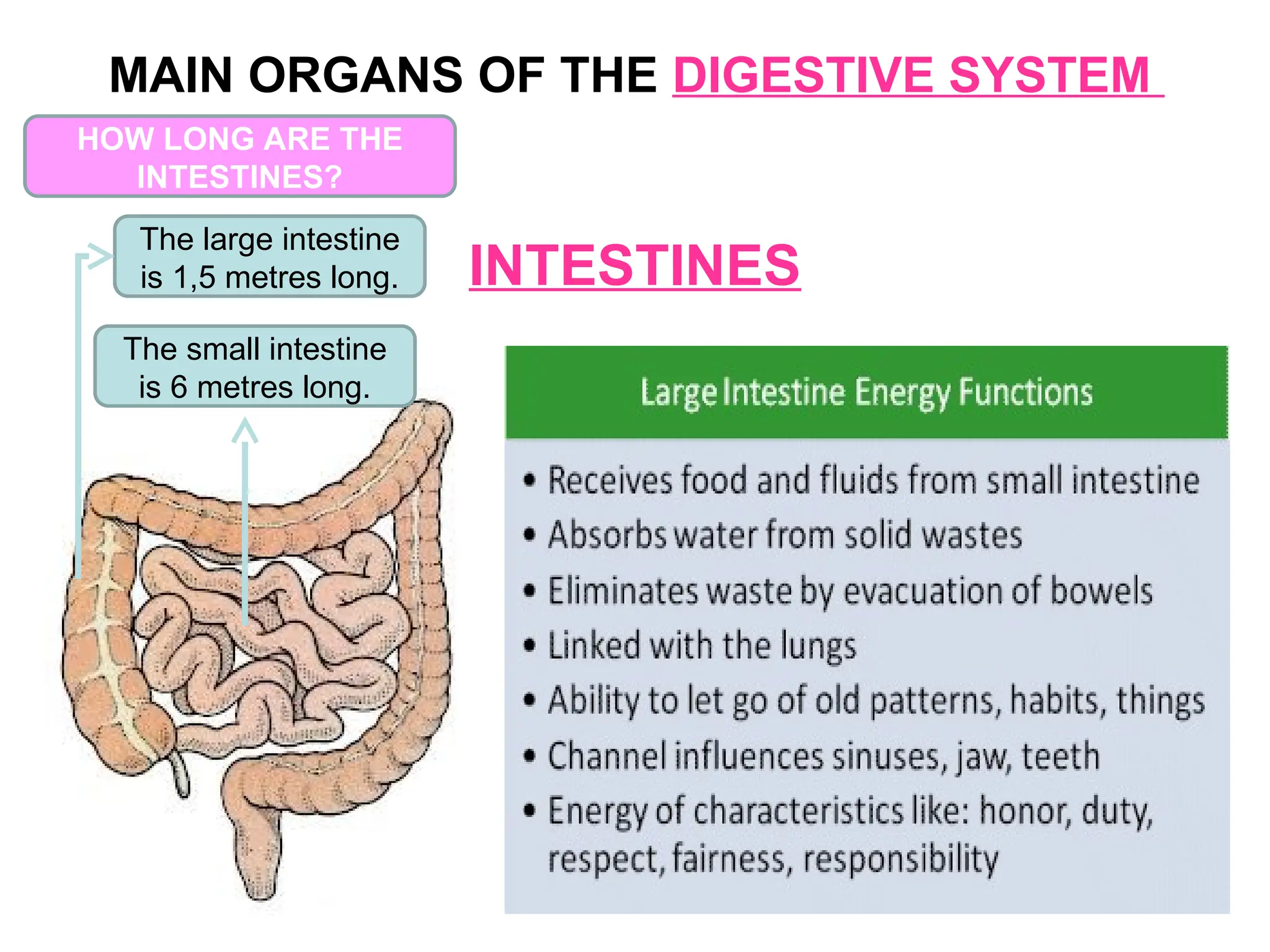 organsandsystemsinthehumanbody-140512123827-phpapp01.ppt
