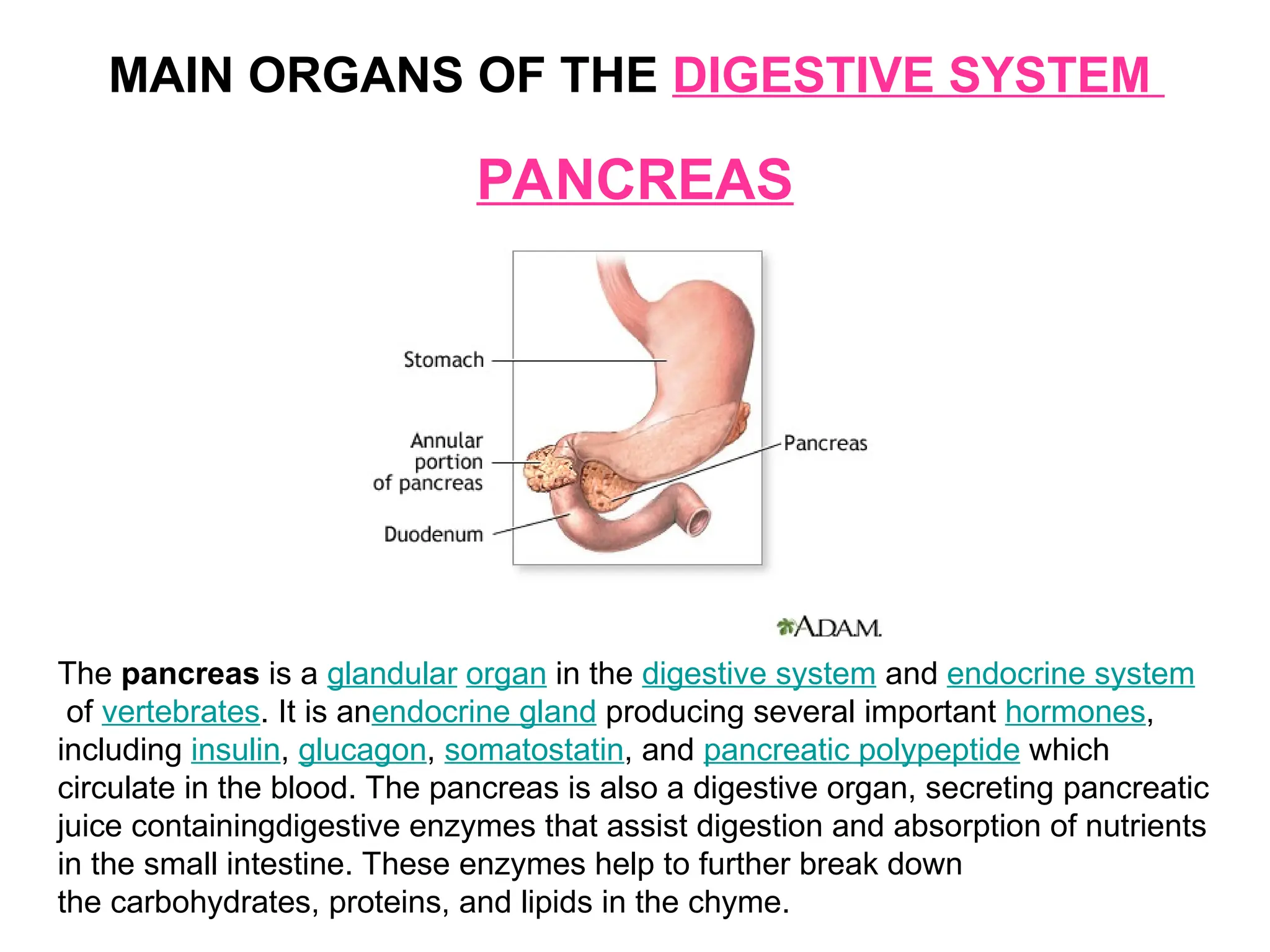organsandsystemsinthehumanbody-140512123827-phpapp01.ppt