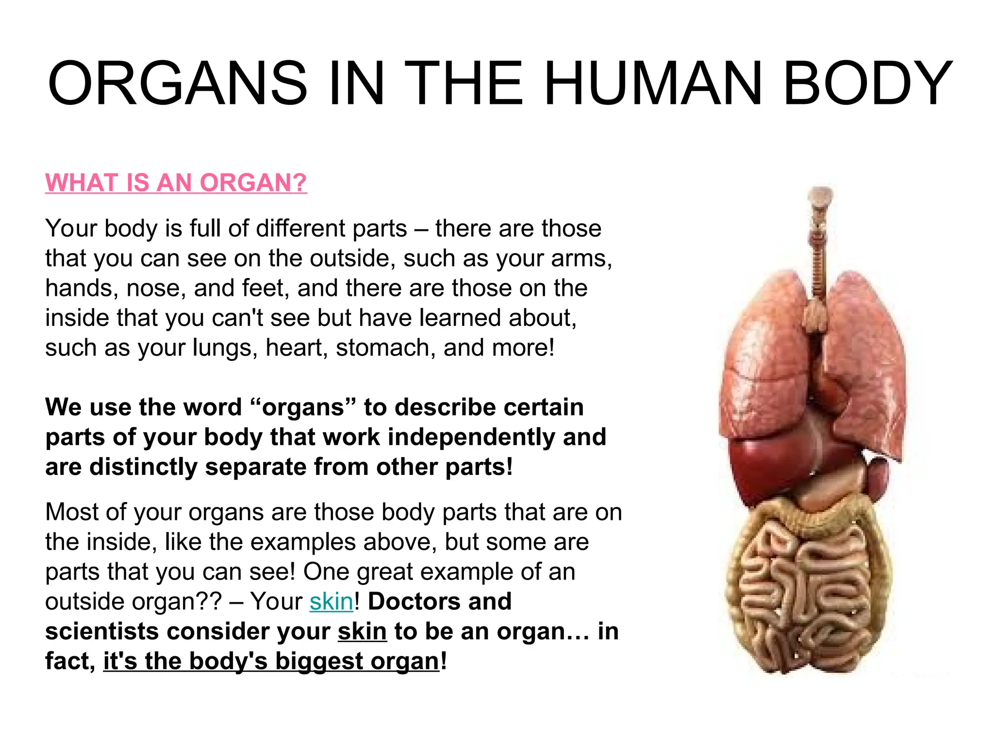 organsandsystemsinthehumanbody-140512123827-phpapp01.ppt
