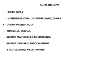 histologi telinga (modul orsen) | PPTX