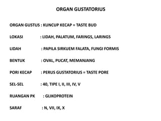 histologi telinga (modul orsen) | PPTX