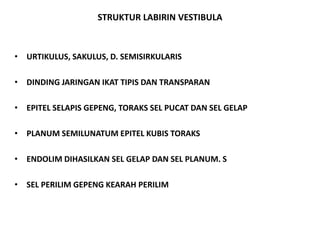 histologi telinga (modul orsen) | PPTX