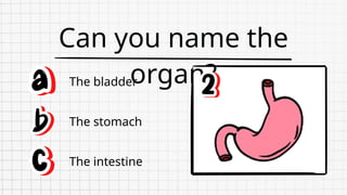 Organs Human Body Quiz Presentation in a Bold Style.pptx