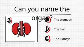 Organs Human Body Quiz Presentation in a Bold Style.pptx