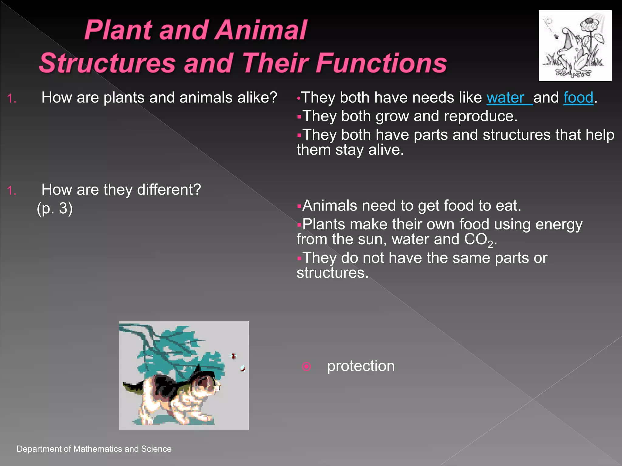 Organs human body sat flip book systems compare plants and animals 2015 ...