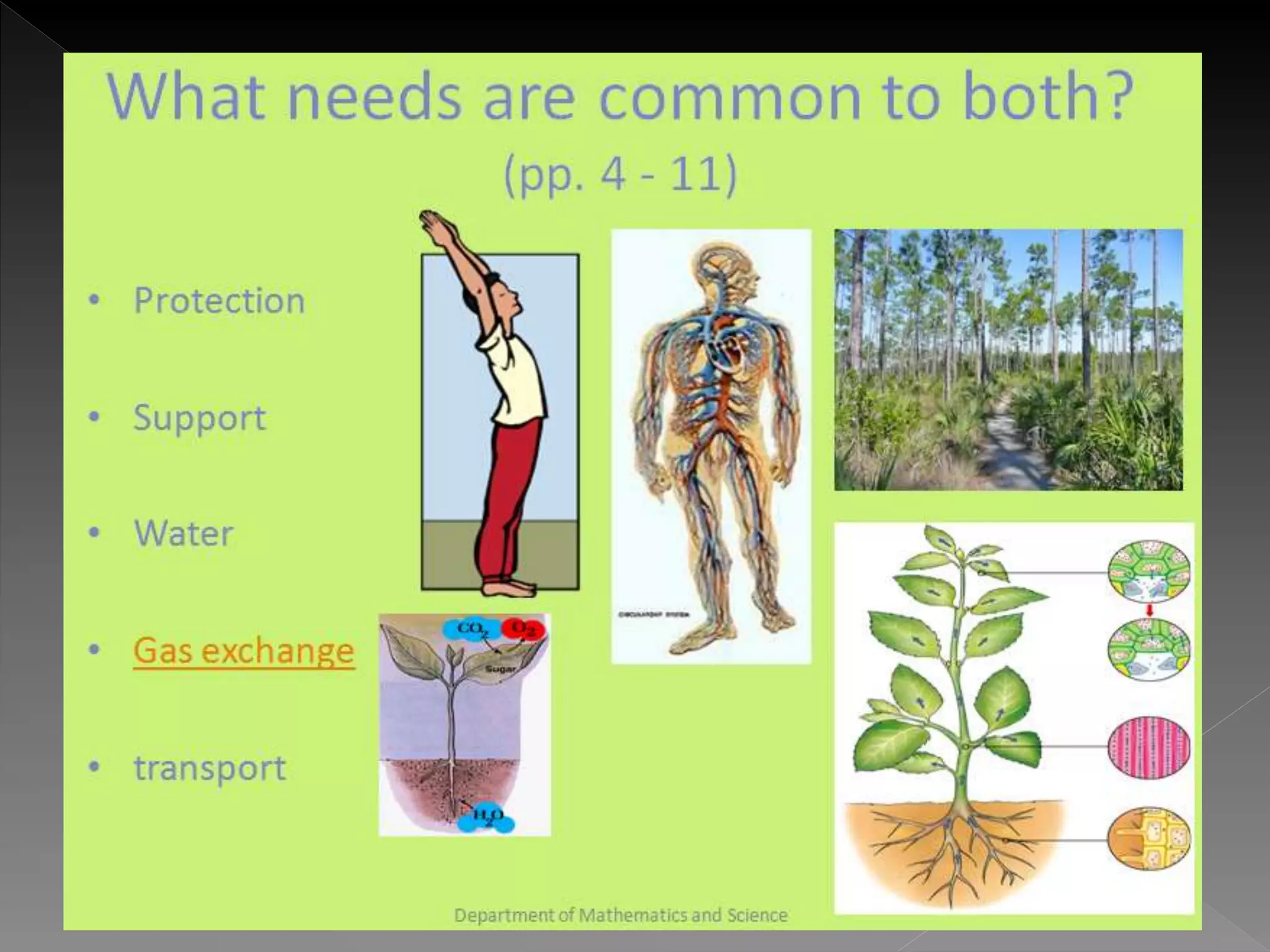 Organs human body sat flip book systems compare plants and animals 2015 ...