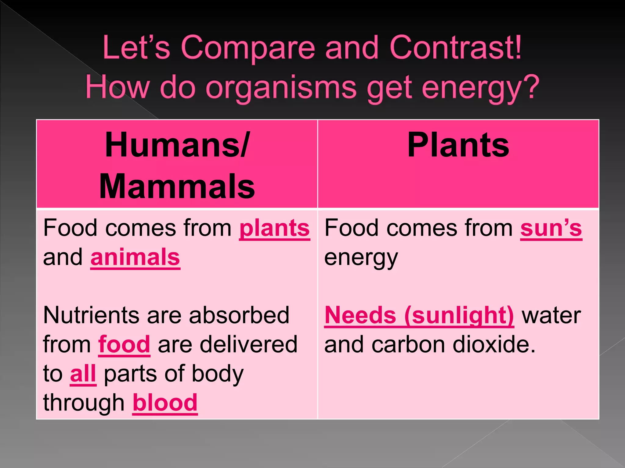 Organs human body sat flip book systems compare plants and animals 2015 ...