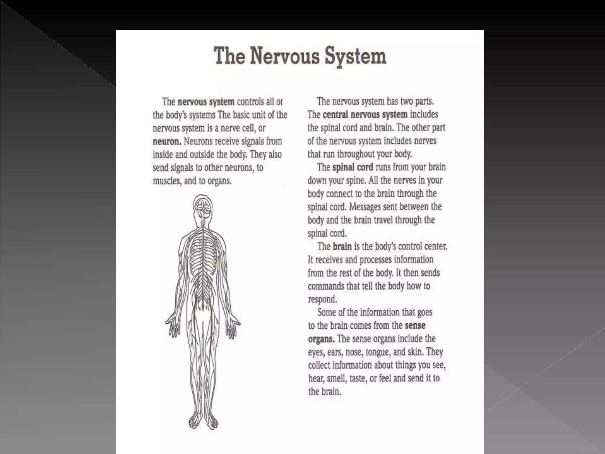Organs human body sat flip book systems compare plants and animals 2015 ...