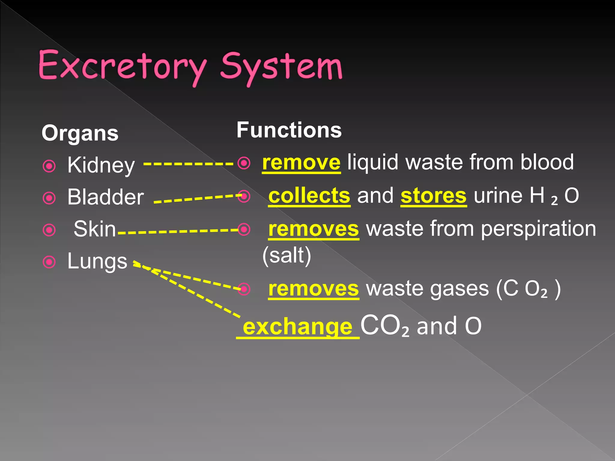 Organs human body sat flip book systems compare plants and animals 2015 ...