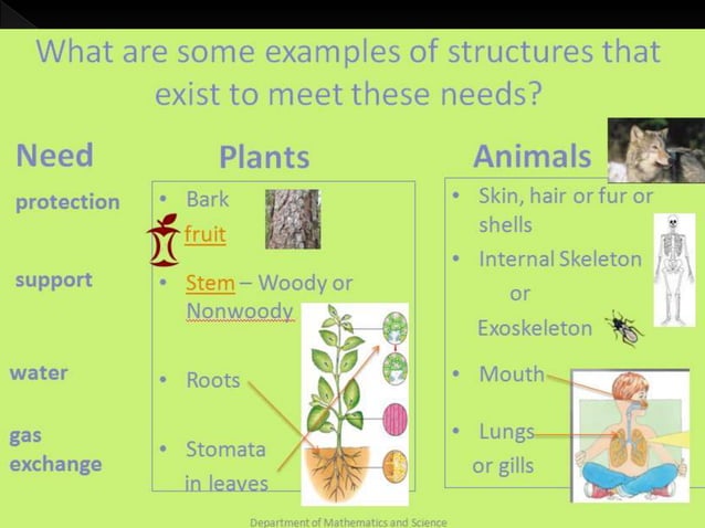 Organs human body sat flip book systems compare plants and animals 2015 ...