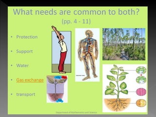 Organs human body sat flip book systems compare plants and animals 2015 ...