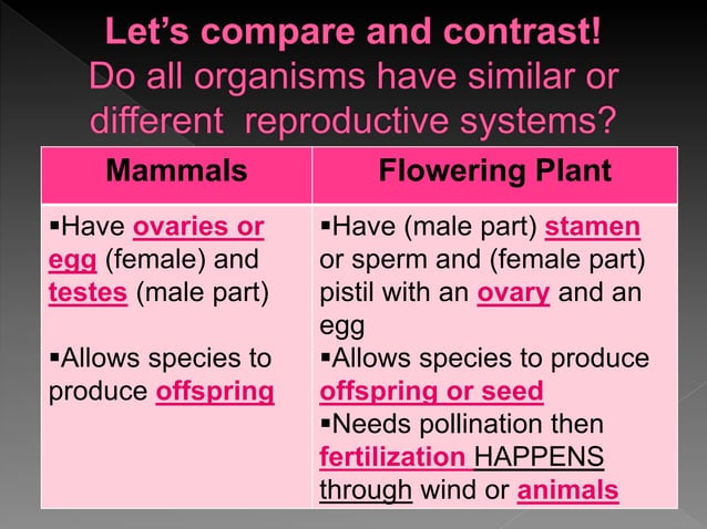 Organs human body sat flip book systems compare plants and animals 2015 ...